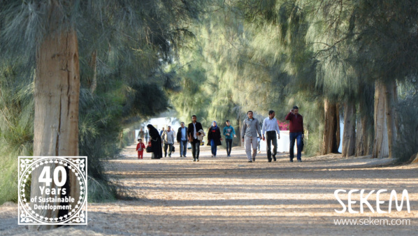 SEKEMsophia – Circles Instead of Trees – SEKEM