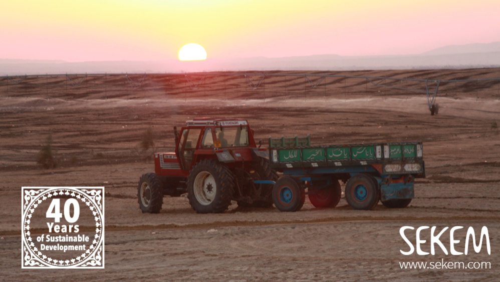 SEKEM on the World Day to Combat Desertification: Sustainable ...