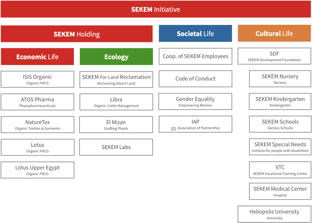 Organizational Structure – SEKEM