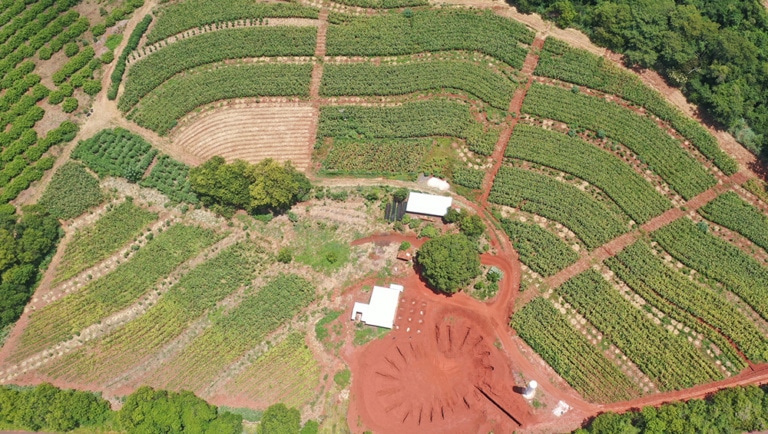 Regenerative Agriculture in Brazil – SEKEM