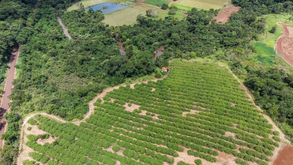 Regenerative Agriculture in Brazil – SEKEM