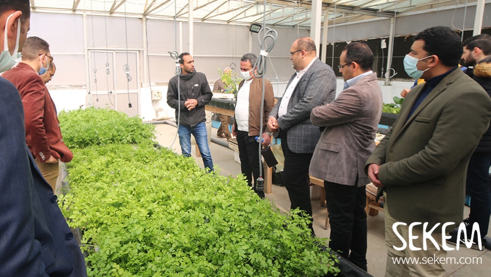 SEKEM News – SEKEM