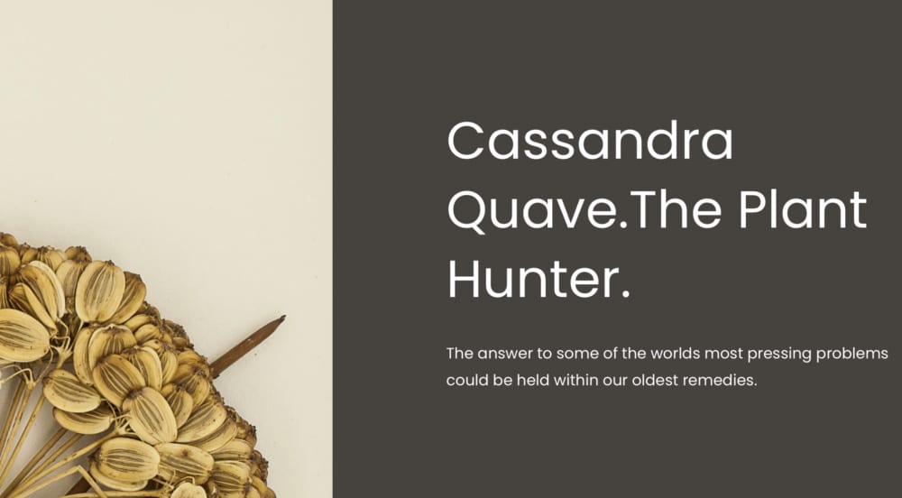 Podcast mit Dr. Cassandra Quave und Helmy Abouleish – SEKEM