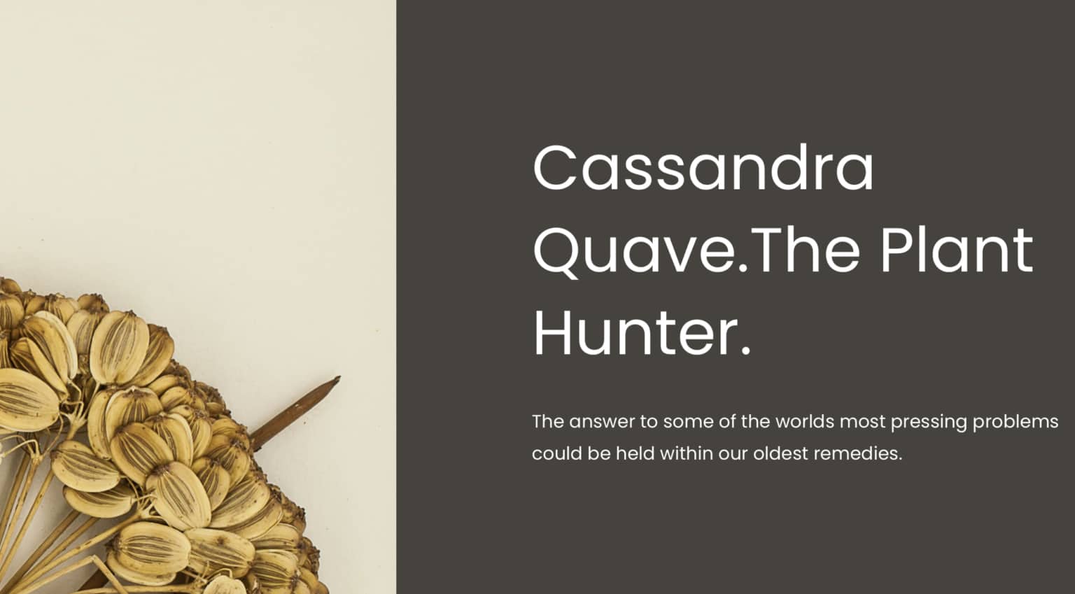 Podcast mit Dr. Cassandra Quave und Helmy Abouleish – SEKEM