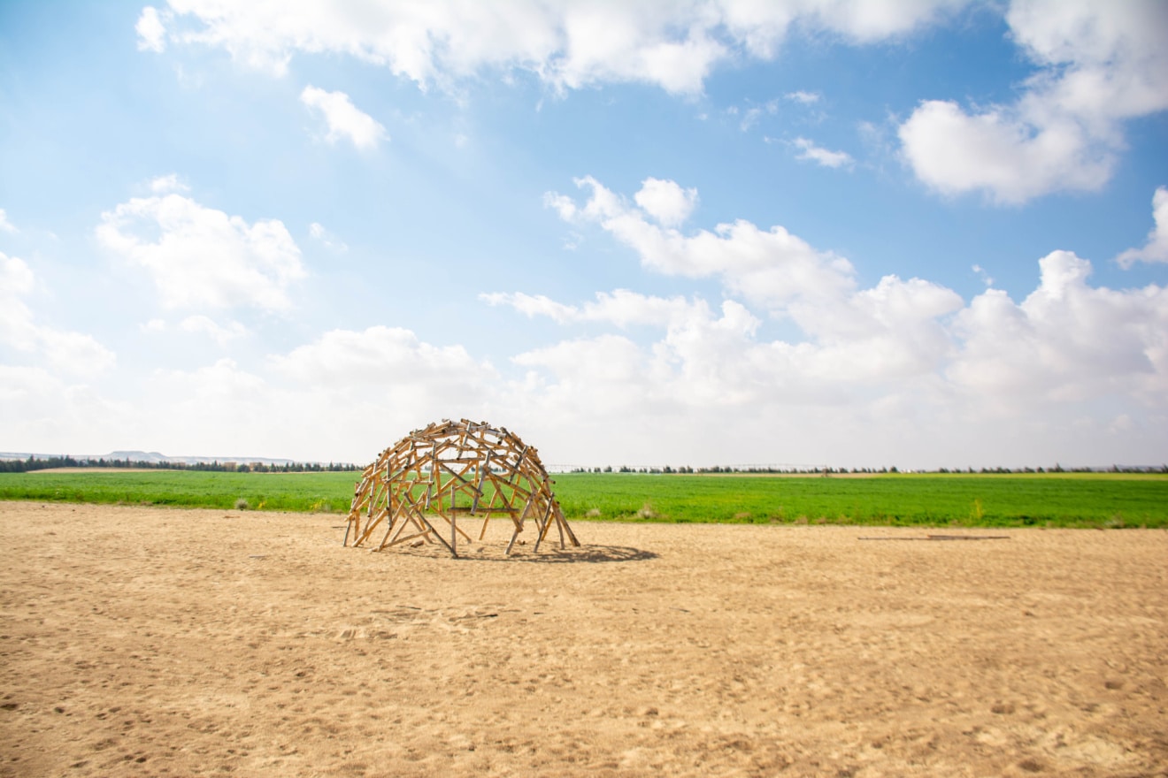 Greening the Desert Project: What’s New? – SEKEM