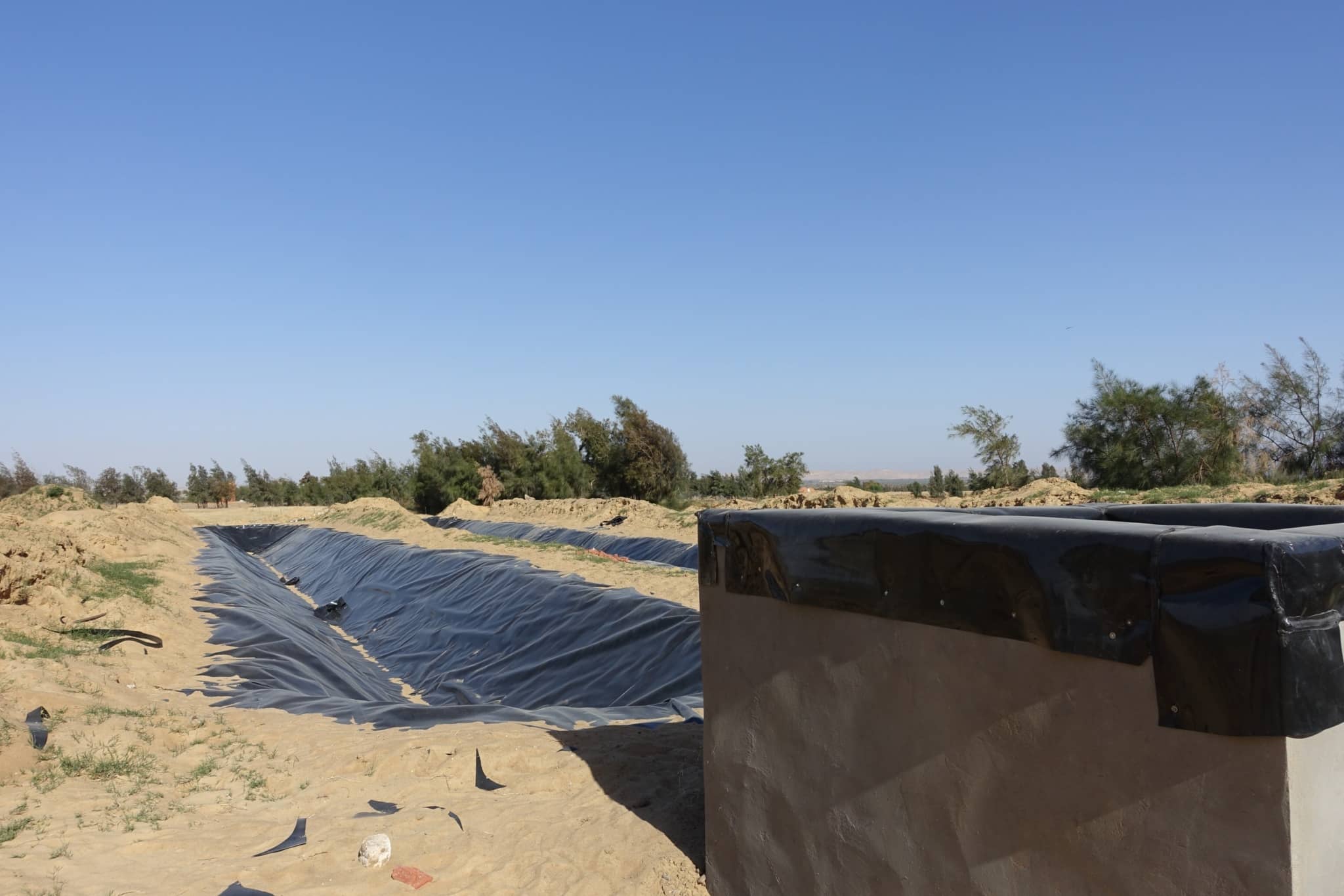 Greening the Desert Project: What’s New? – SEKEM