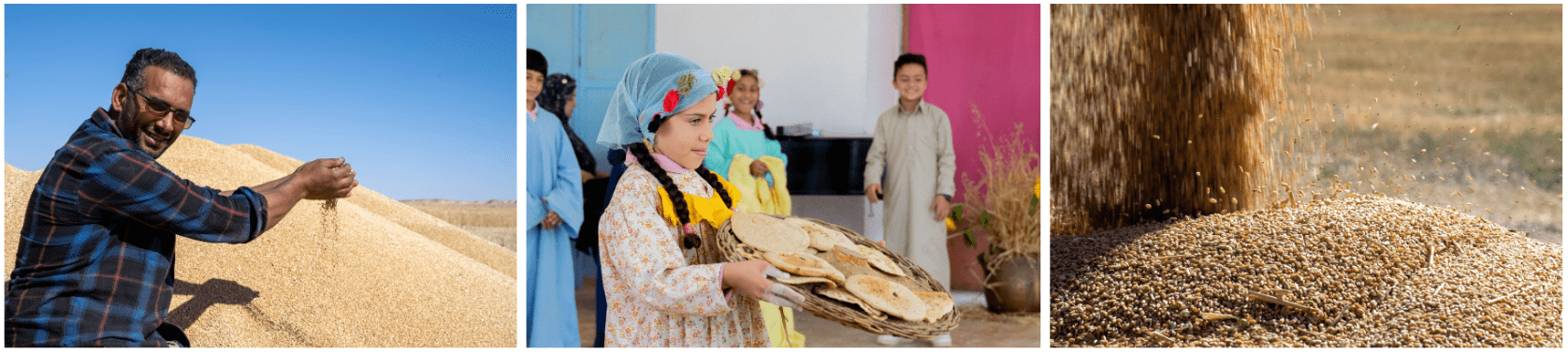 Wheat from the Desert – SEKEM