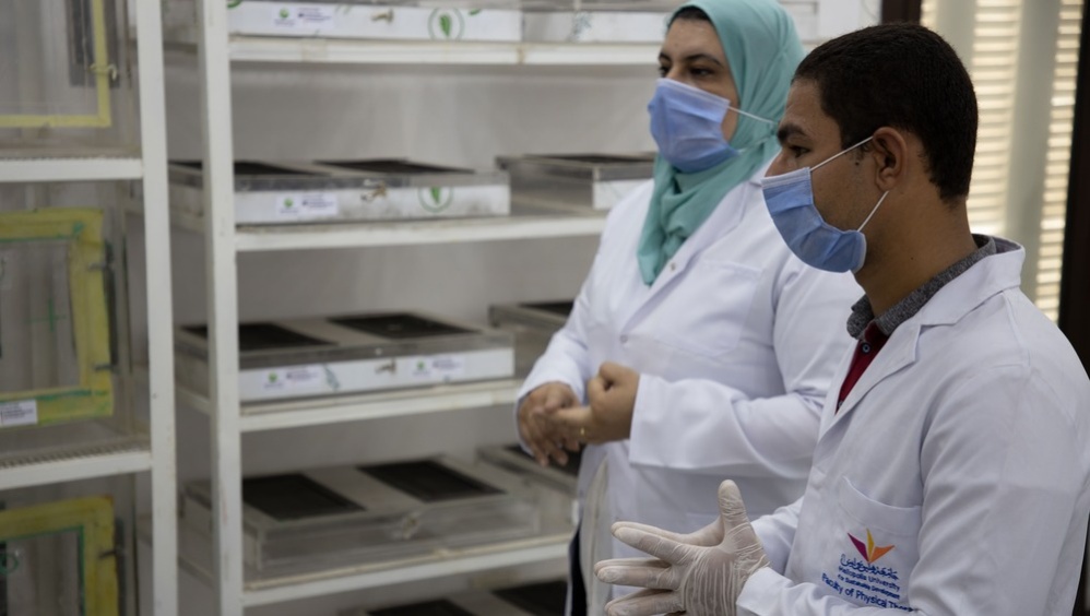 SEKEM – Sustainable Development since 1977