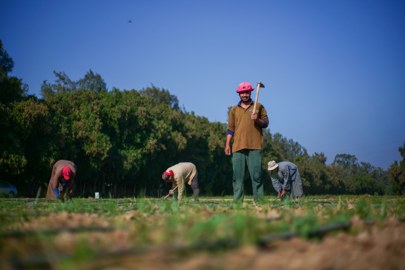 Egypt’s SEKEM Honored with UNEP’s 2024 Champions of the Earth Award – SEKEM