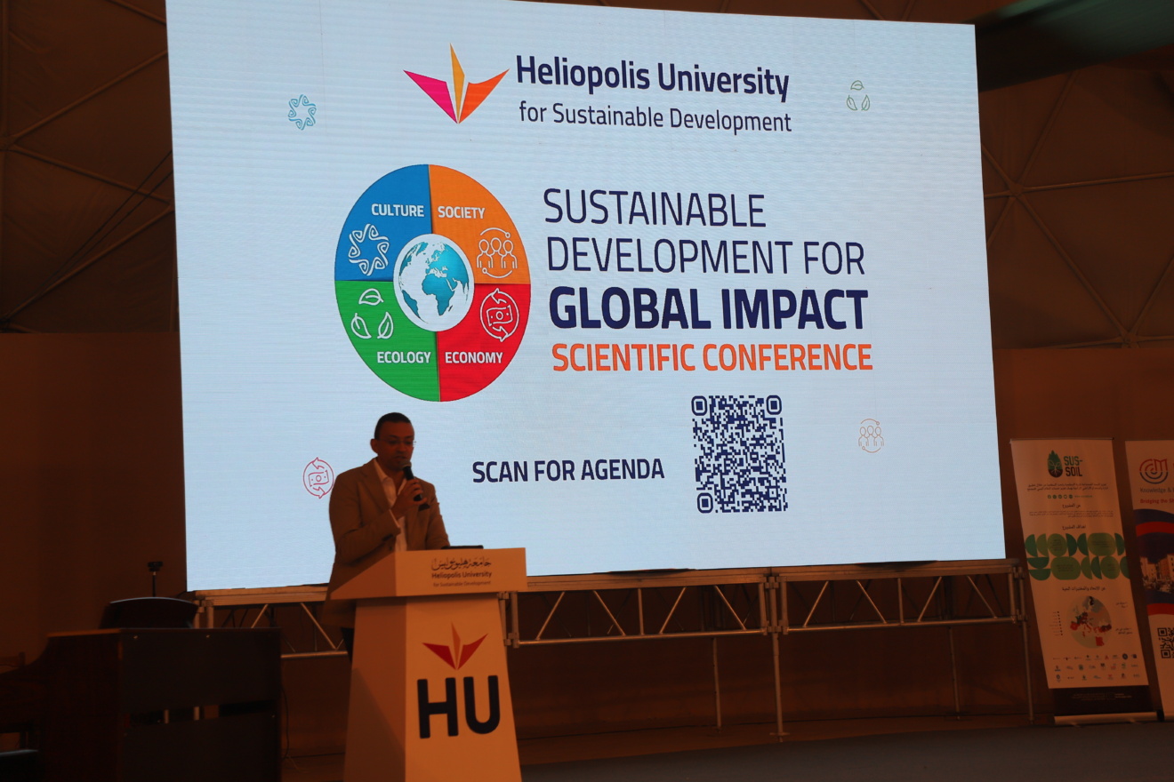 SDGI Conference Wrap-Up: Co-Creating Holistic Pathways for Global ...